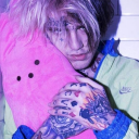 Chat with Rachel | Shapes, Inc