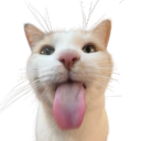 Official Goober | Shapes, Inc