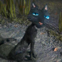 El Gato | Shapes, Inc