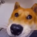 Mexican | Shapes, Inc