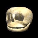 skull | Shapes, Inc
