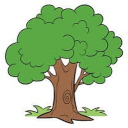Tree OS | Shapes, Inc