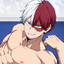 Shoto Todoroki | Shapes, Inc