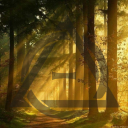 🌲﹕ ﹒"𝐑ay-𝐅orestリ | Shapes, Inc