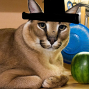 Gentlemen bot | Shapes, Inc