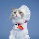 Puff The Cat | Shapes, Inc