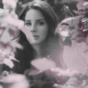 Lana Del Rey | Shapes, Inc