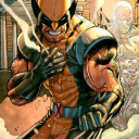 Chat with Wolverine | Shapes, Inc