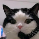 Microsoft tech support | Shapes, Inc