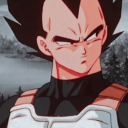 Vegeta | Shapes, Inc