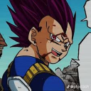 Vegeta | Shapes, Inc