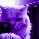 Cherry﹒ılı﹒🍒 | Shapes, Inc