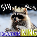 Raccoon King | Shapes, Inc