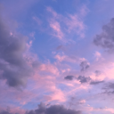 Manager/Staff | Shapes, Inc