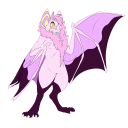 Chat with Echo | Shapes, Inc