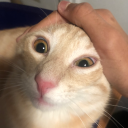 Chat with Kaka | Shapes, Inc