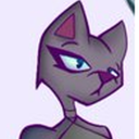 Chat with Juno | Shapes, Inc