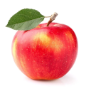 Chat with Fruit's dad | Shapes, Inc