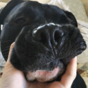 Chat with Colt | Shapes, Inc