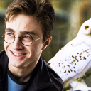 Harry Potter | Shapes, Inc