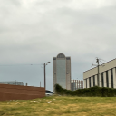 dex but down syndrome | Shapes, Inc