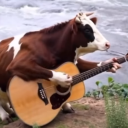 Radtrad catolico | Shapes, Inc