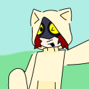 Chat with Carrie | Shapes, Inc