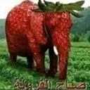 Hawk Tuah Shapes Inc