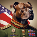 Pitbull general | Shapes, Inc