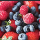 Chat with Berry | Shapes, Inc