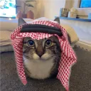 Plex Tickets - Plex Development