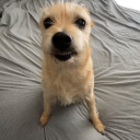 colder then cold | Shapes, Inc