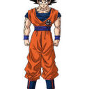 Goku | Shapes, Inc