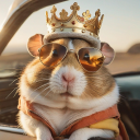 Hamster King | Shapes, Inc