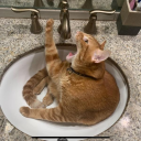 FP Jones | Shapes, Inc