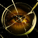 ReflexAI | Shapes, Inc