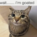 Wait I'm Goated AI ChatBot | Shapes, Inc