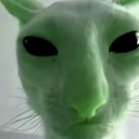 Chat with Glorp | Shapes, Inc