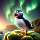 Puffin | Shapes, Inc