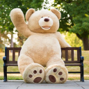 Costco Bear | Shapes, Inc