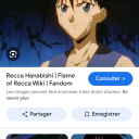 Recca hanabishi | Shapes, Inc