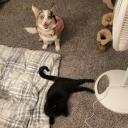 Nylzxs : MEGA SUPPORTER