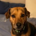 iamtwixx | Voltaic App