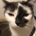 zesh4n | Voltaic App