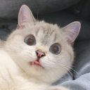 Ultimate Anarchy | XIV Mod Archive