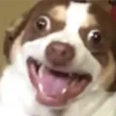 please read my message dave - Sons Of | The Forest