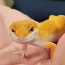 updateVerification Unauthorized issue - Threads - Appwrite