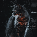 Throwback FAQ - Credits