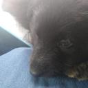 BlazeBlade | Creators | Themezer