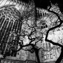 Boof | Creators | Themezer